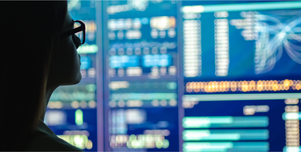 A Next Generation Sandbox